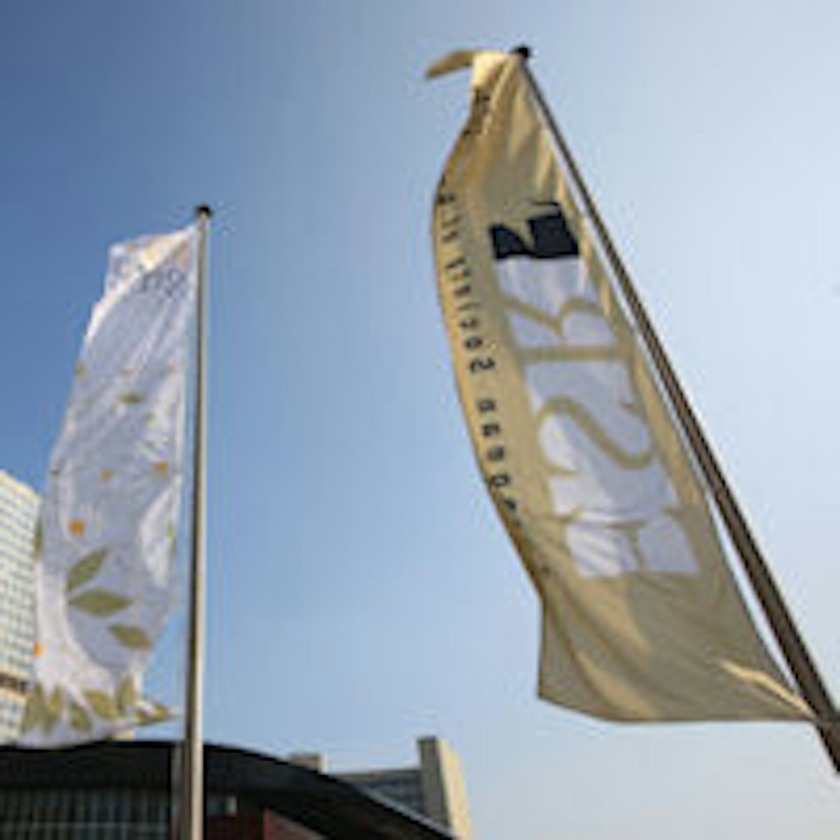 How congress revenue funds ESR member services | AuntMinnieEurope