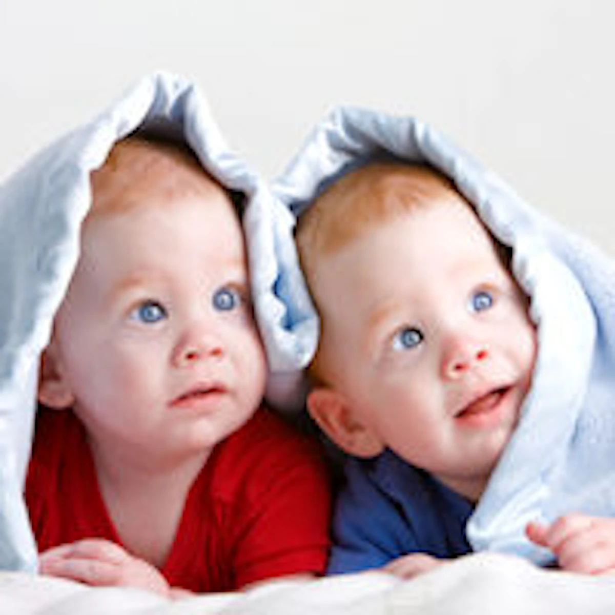 Hungarian twins' study sheds light on coronary calcium | AuntMinnieEurope