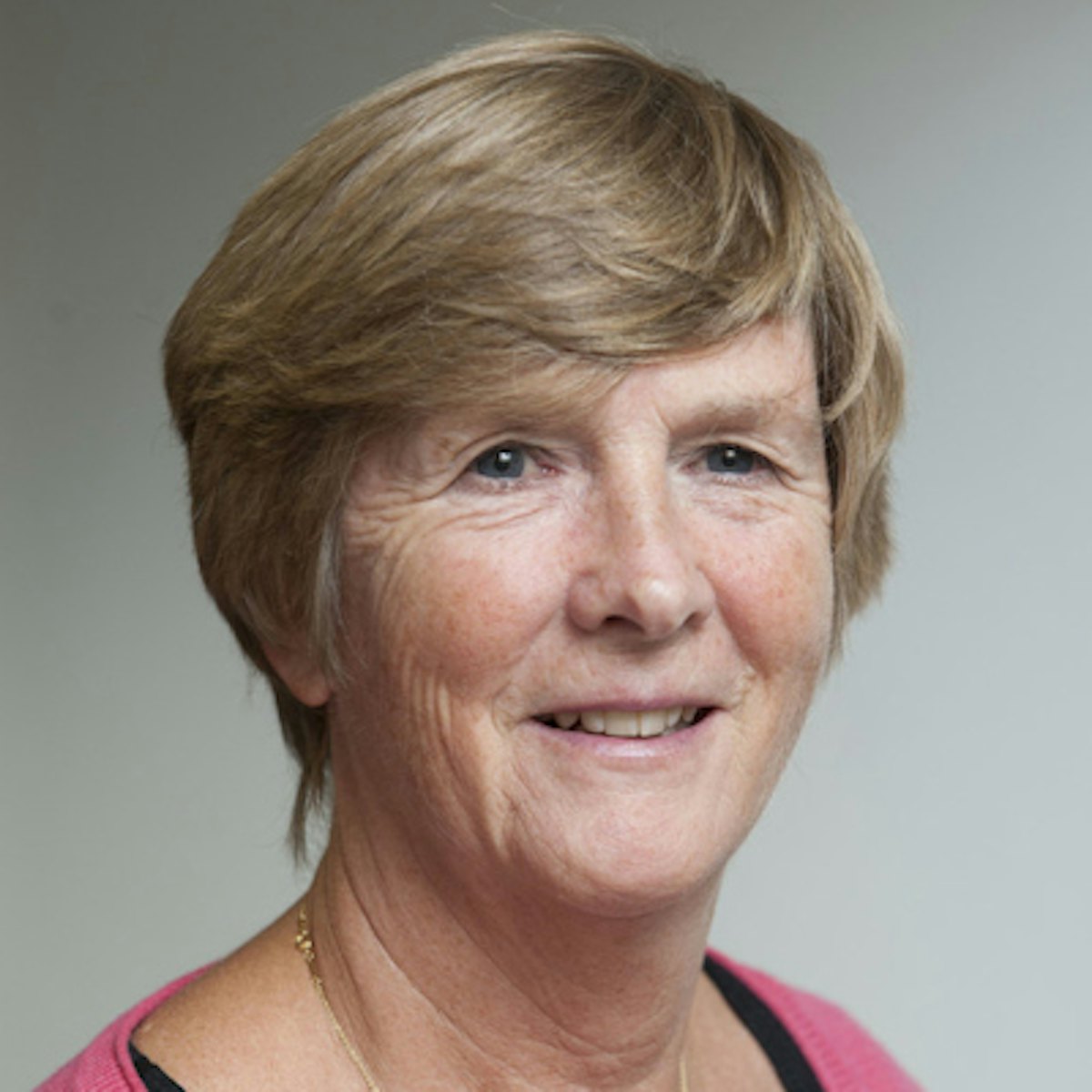 Ultrasound pioneer Gail ter Haar to head up pancreatic project ...