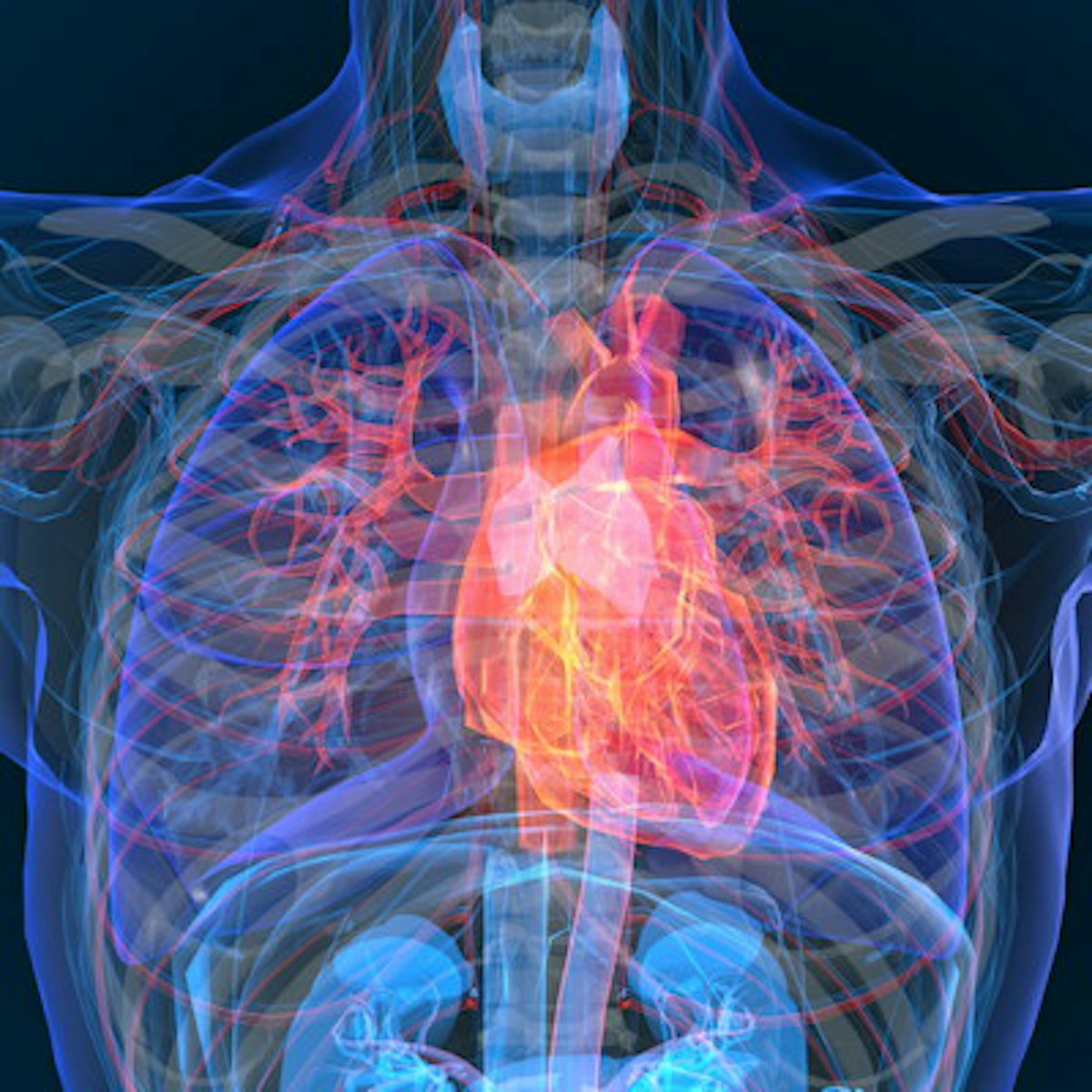 MRI detects signs of early aging in people with poor heart health ...