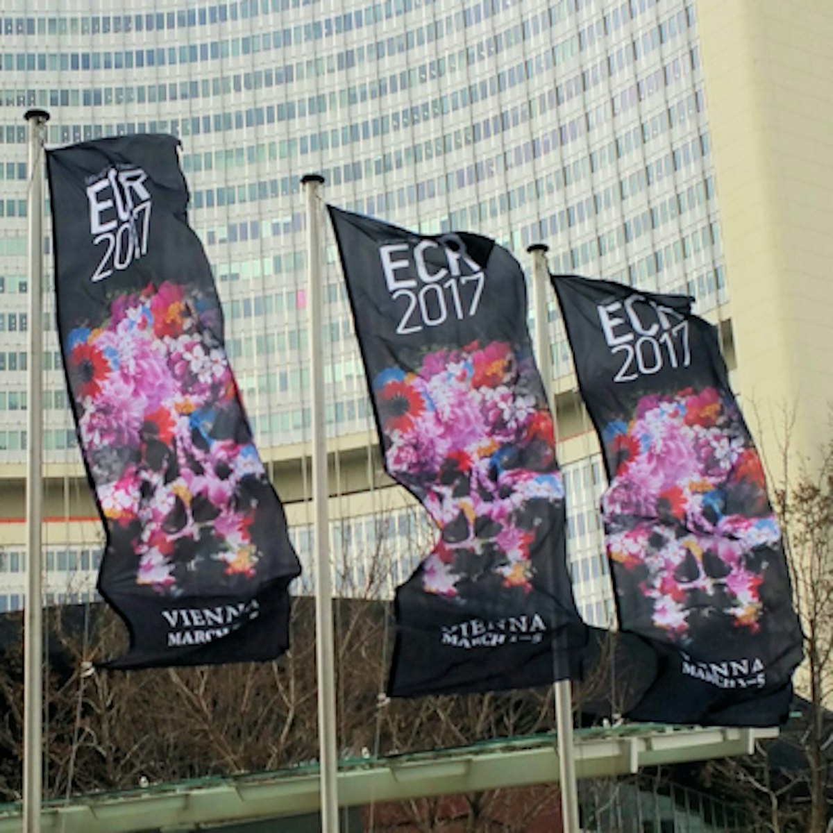 ESR seeks candidates for 2nd vice-president post | AuntMinnieEurope