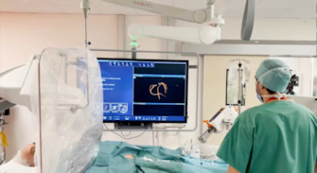 Cardiac CT Angiography (CCTA) - The role in different degrees of ...
