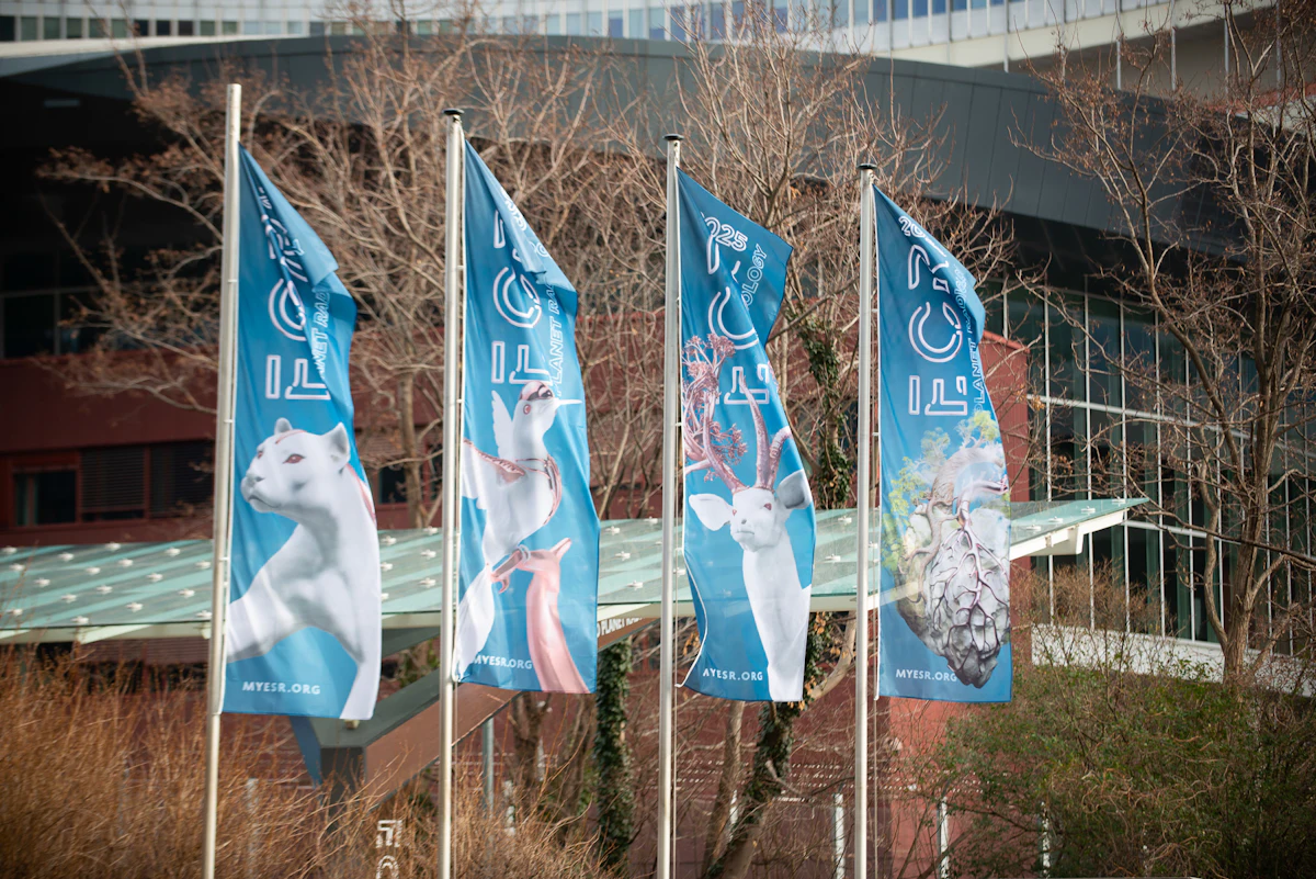 ESR unveils country breakdown for ECR 2025 attendees | AuntMinnieEurope