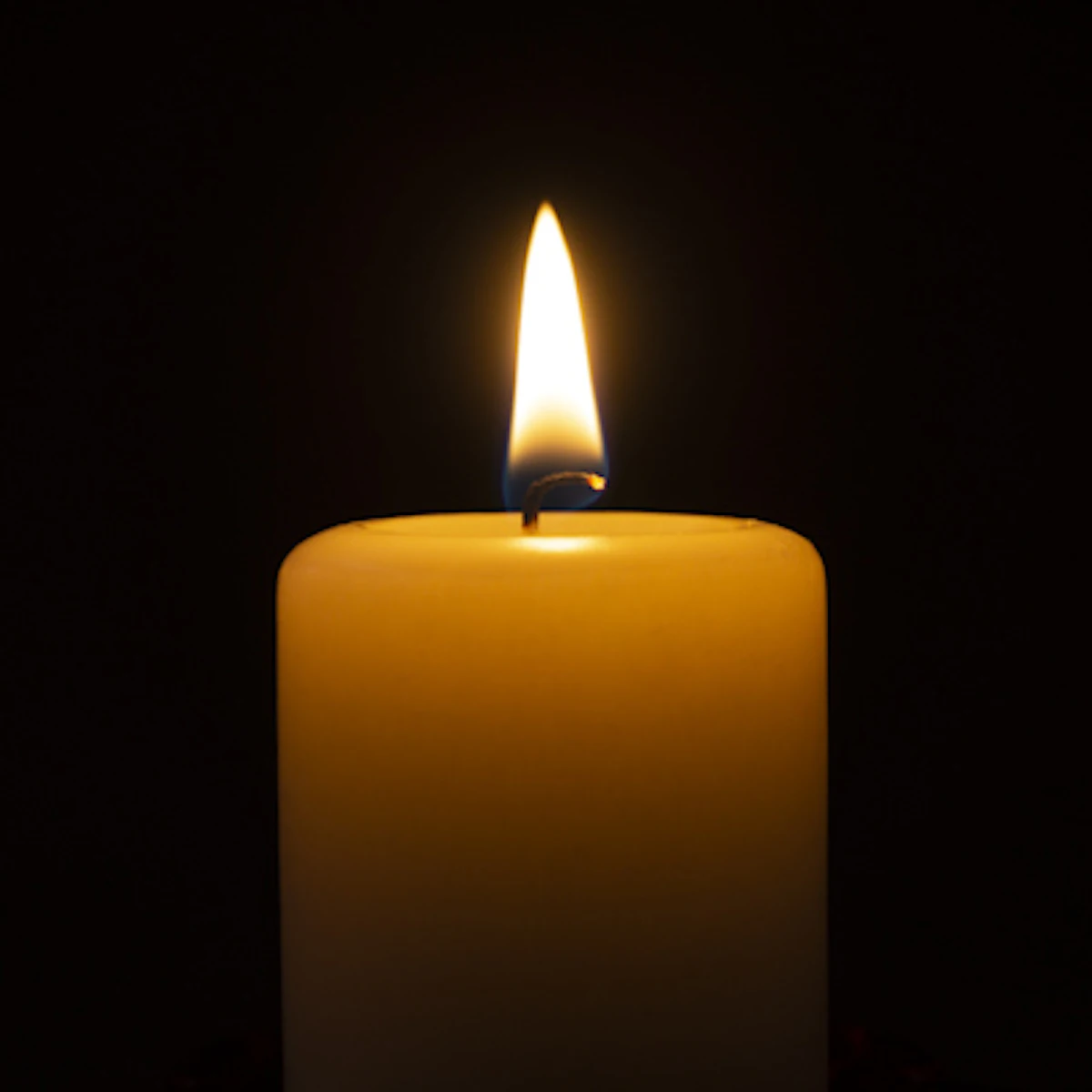 Tributes flow for contrast pioneer Bob Brasch | AuntMinnieEurope