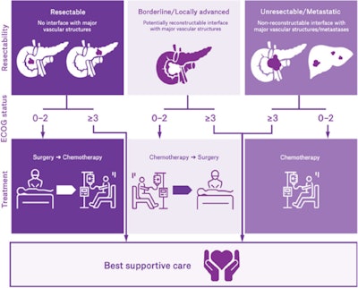 Better CT reporting can boost care in pancreatic cancer | AuntMinnieEurope